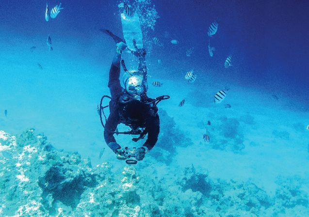 Apply PowerMiles Credit Card Online – Travel Rewards & Interest Free ...